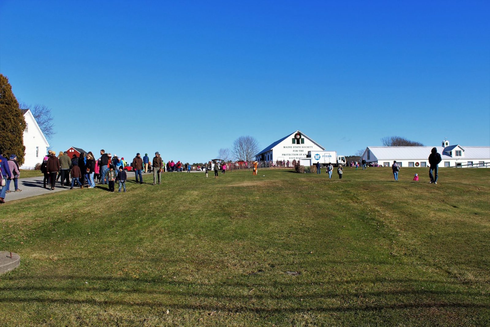 Sunshine Spells Success • MSSPA