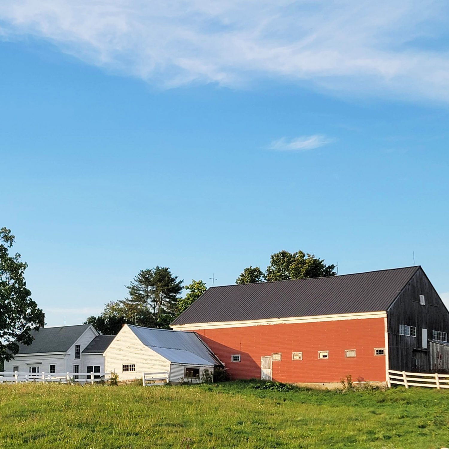 Visiting Skyline Farm • MSSPA