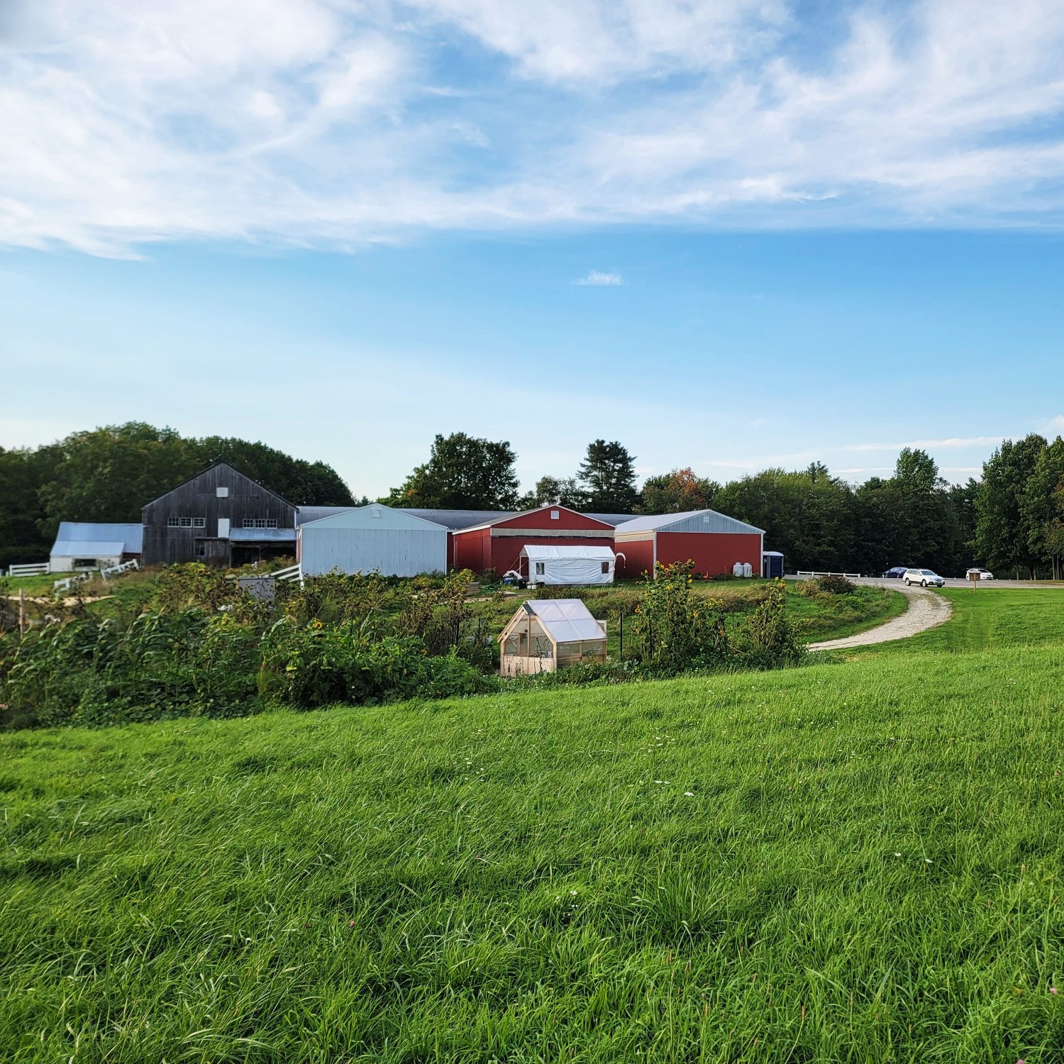 Visiting Skyline Farm • MSSPA