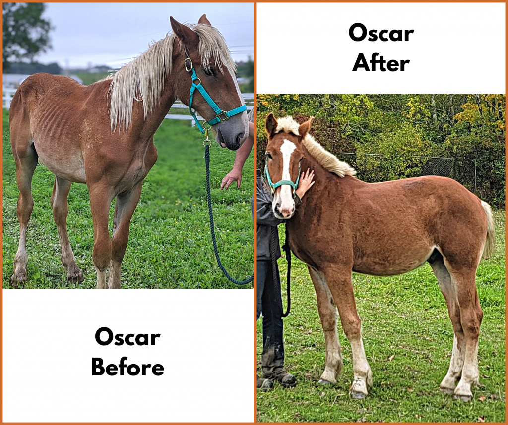 The MSSPA’s Impact • MSSPA