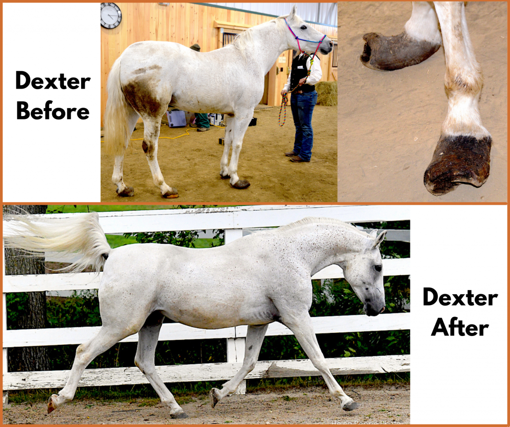 The MSSPA’s Impact • MSSPA