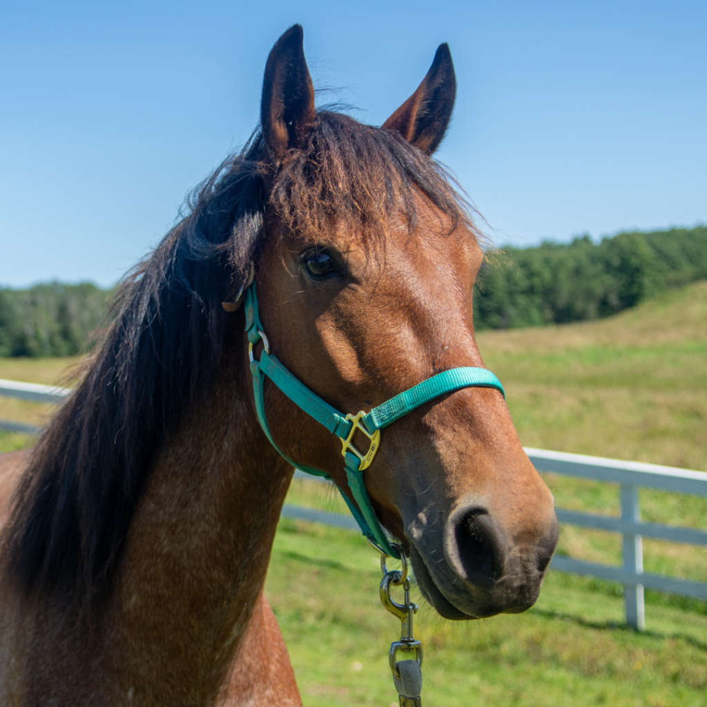 The MSSPA’s Impact • MSSPA