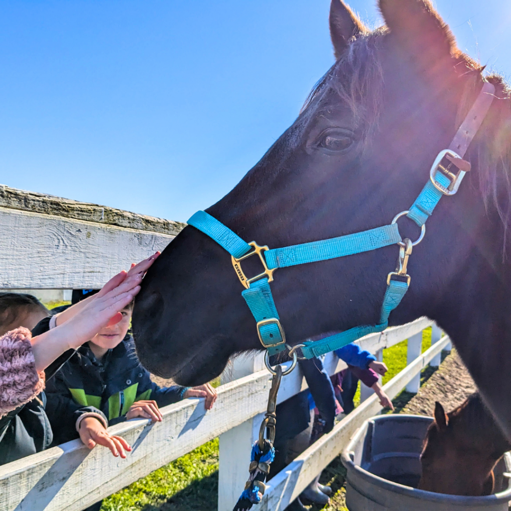 The MSSPA’s Impact • MSSPA