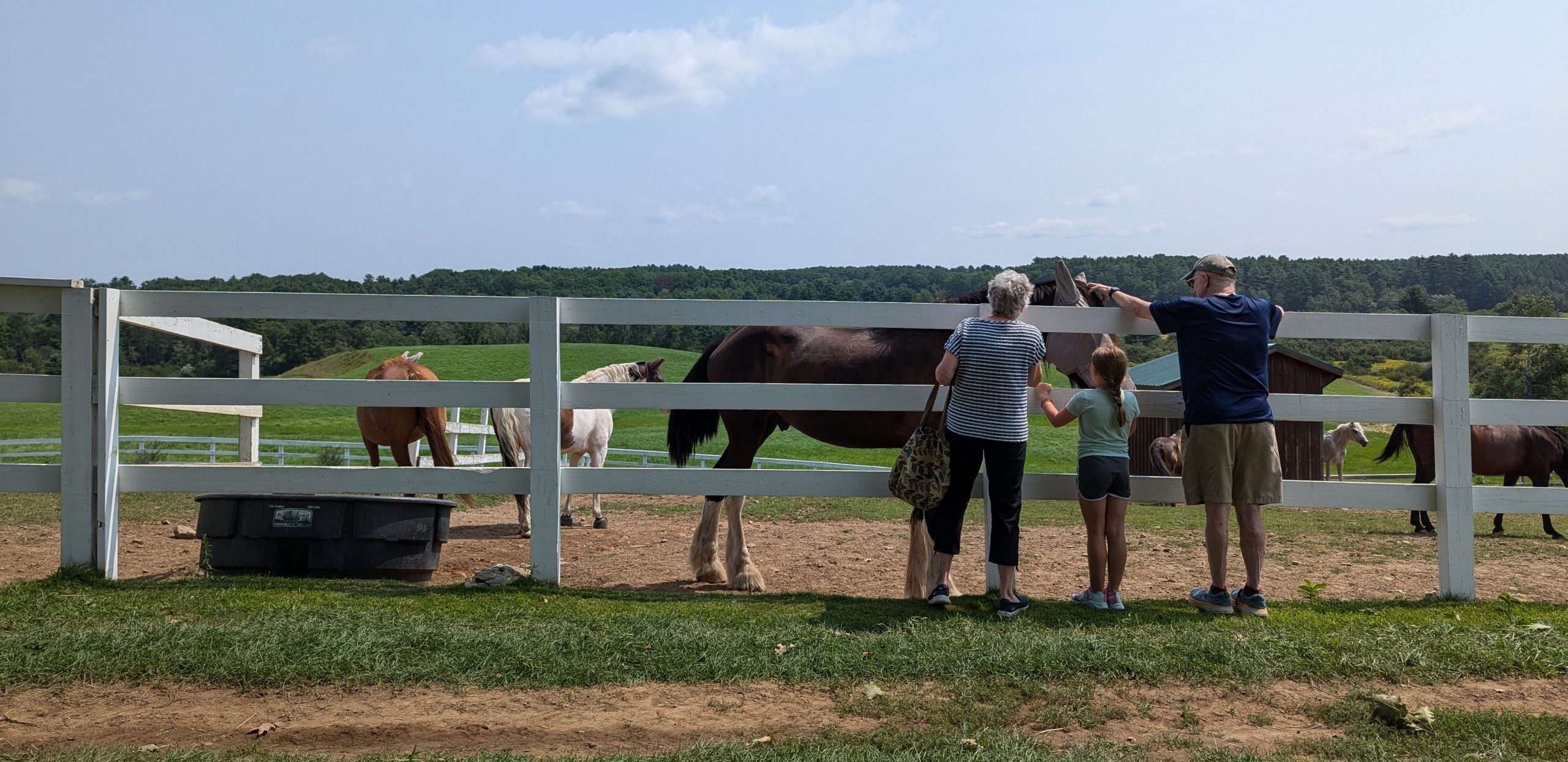 Visit the Farm • MSSPA