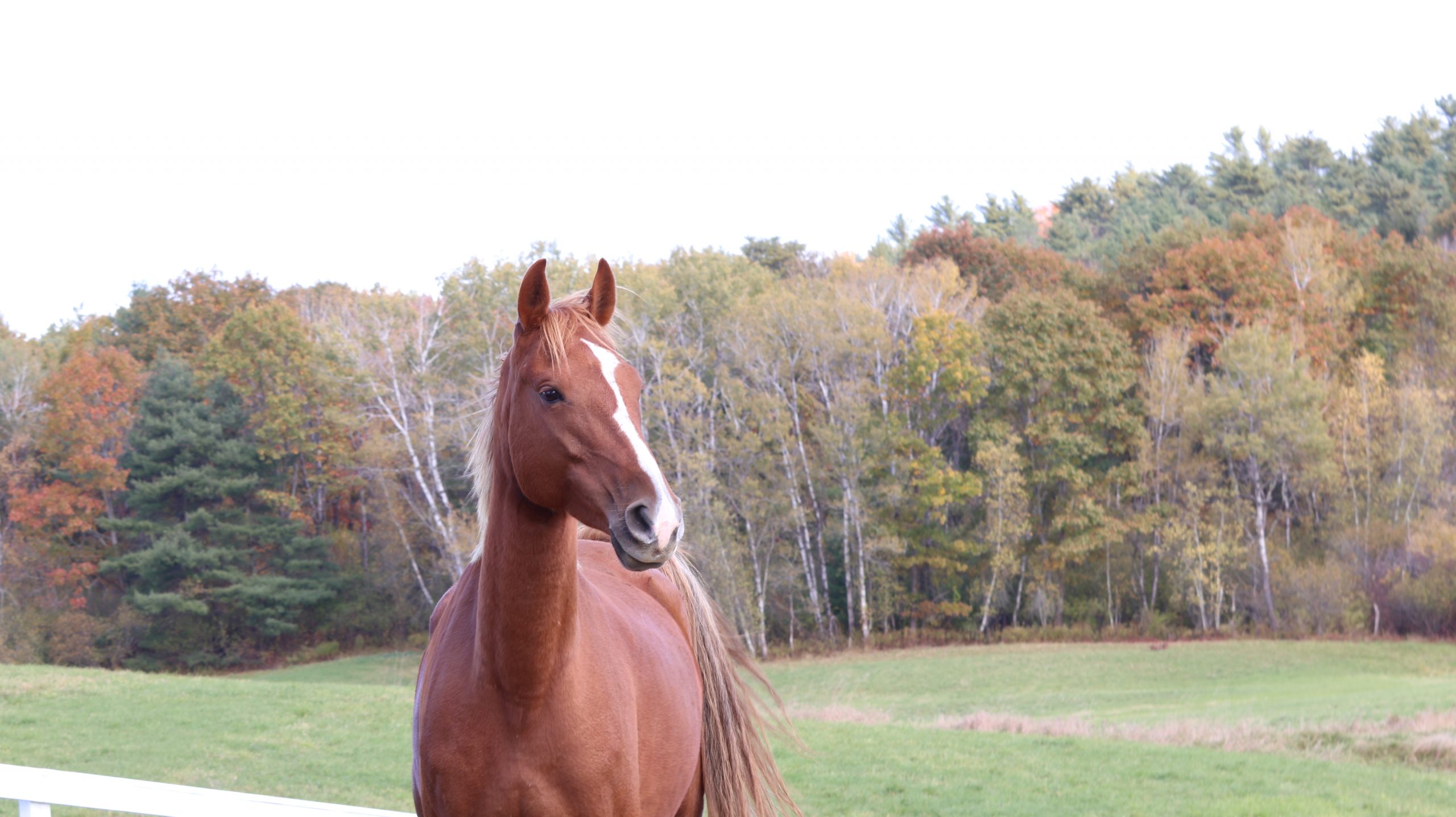 MSSPA in the News • MSSPA